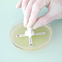 MTS™ Synergy Application System – KETON SCIENTIFIC